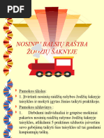 Nosiniu Raidziu Rasymas Zodziu Saknyje - Taisykles - Pask. | PDF