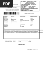 Formato Incapacidad Imss Editable Word | PDF