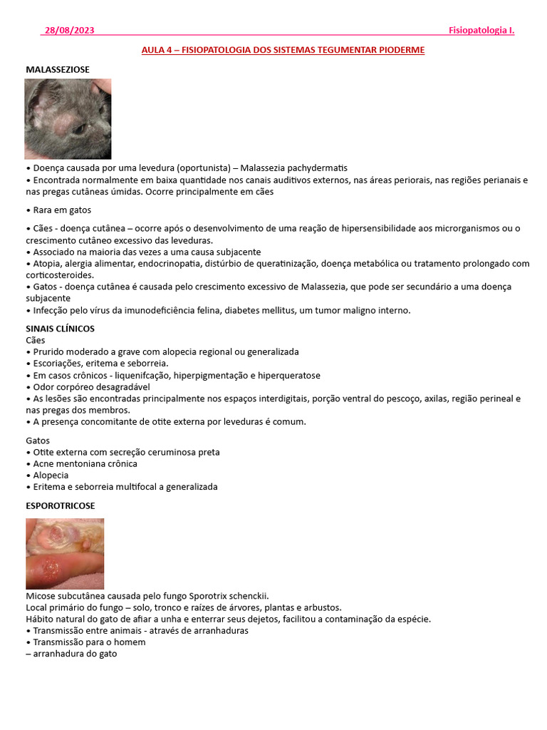 RM - AULA 4 - Fisiopatologia Do Sistema Tegumentar Pioderme - 28.08 ...