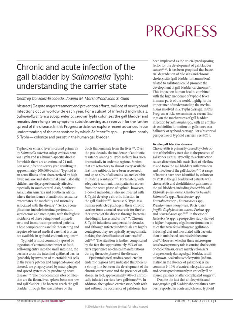 Chronic and Acute Infection of The | PDF | Salmonella | Gallbladder