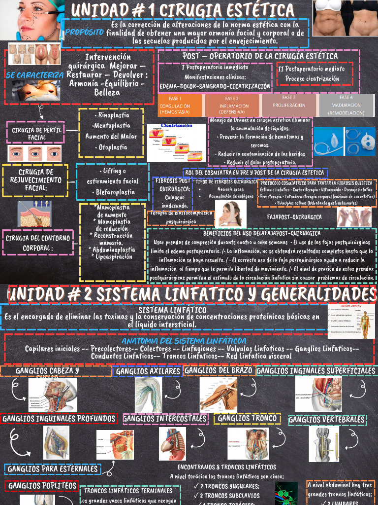 Circle Comparison Chart Employee VS Entrepreneur Graph | PDF | Sistema ...