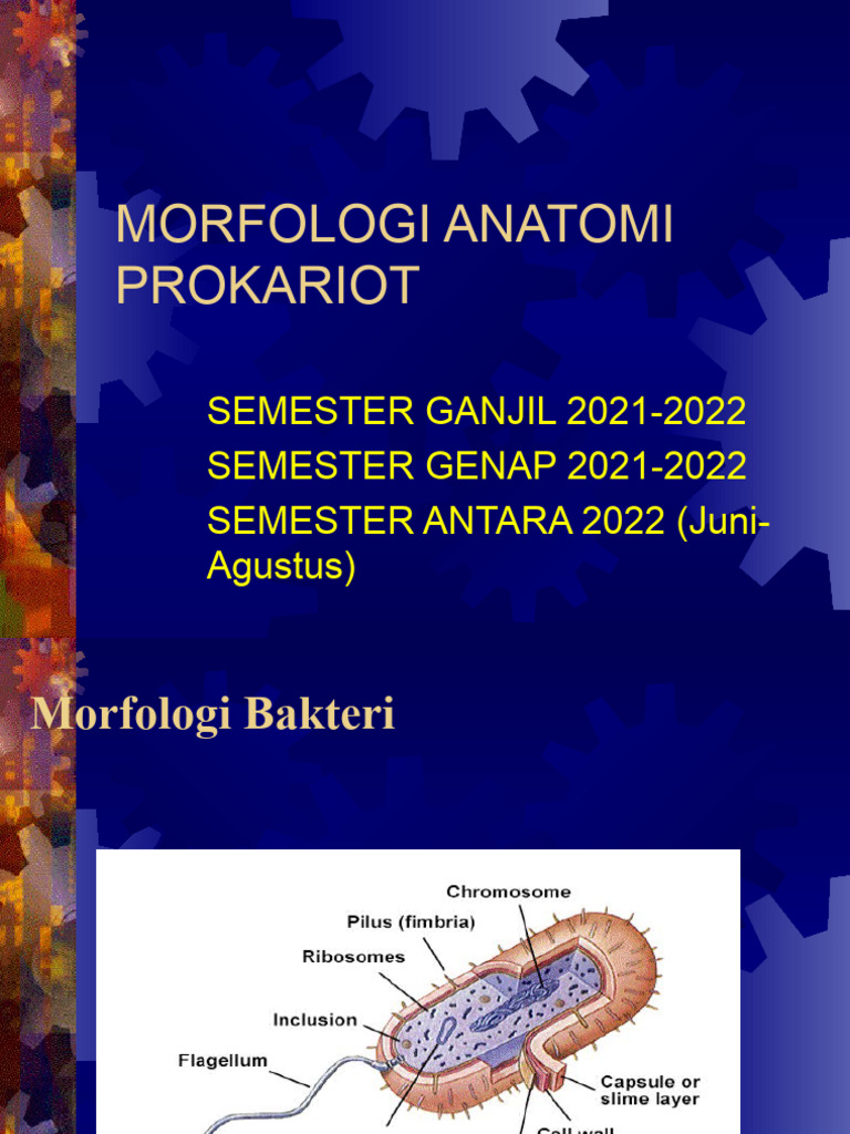 Morfologi Anatomi Prokariot-Lecture2 | PDF
