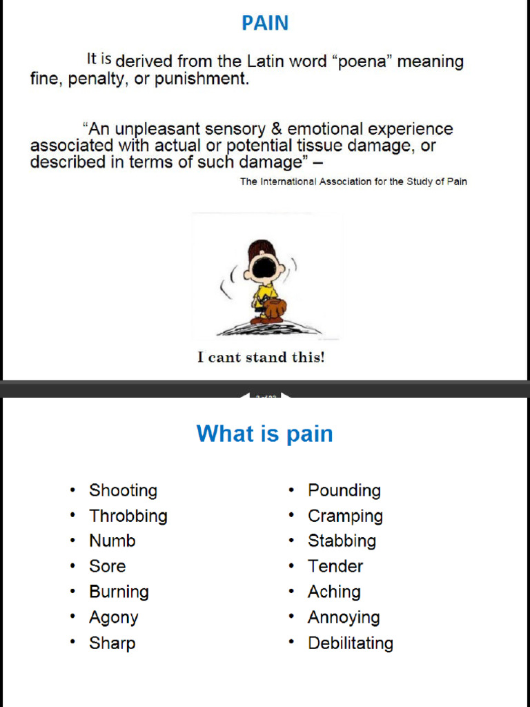 Gate Control Theory of Pain | PDF