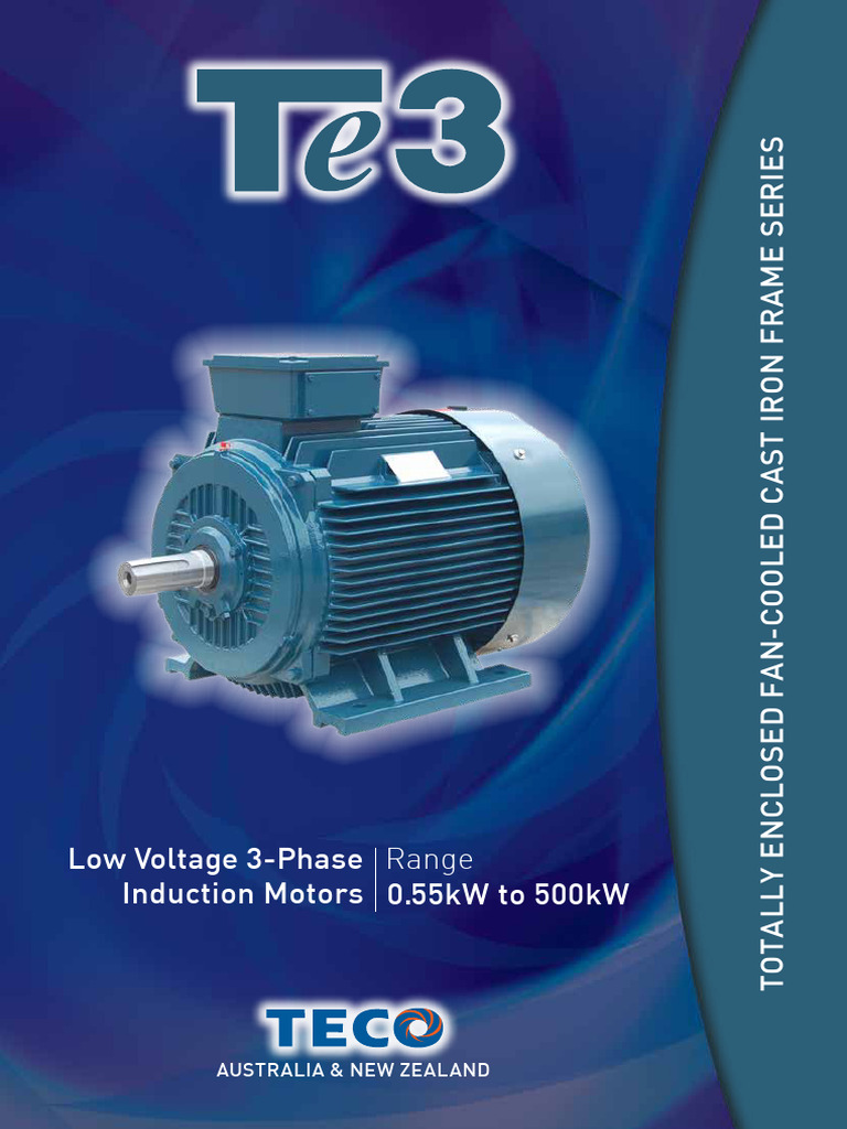 TECO Te3 Catalogue Te3 102022 | PDF | Electric Motor | Electromagnetism