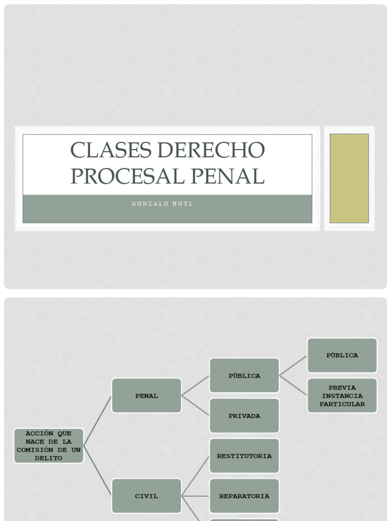 03 La Acción en El Proceso Penal | PDF | Queja | Victimologia