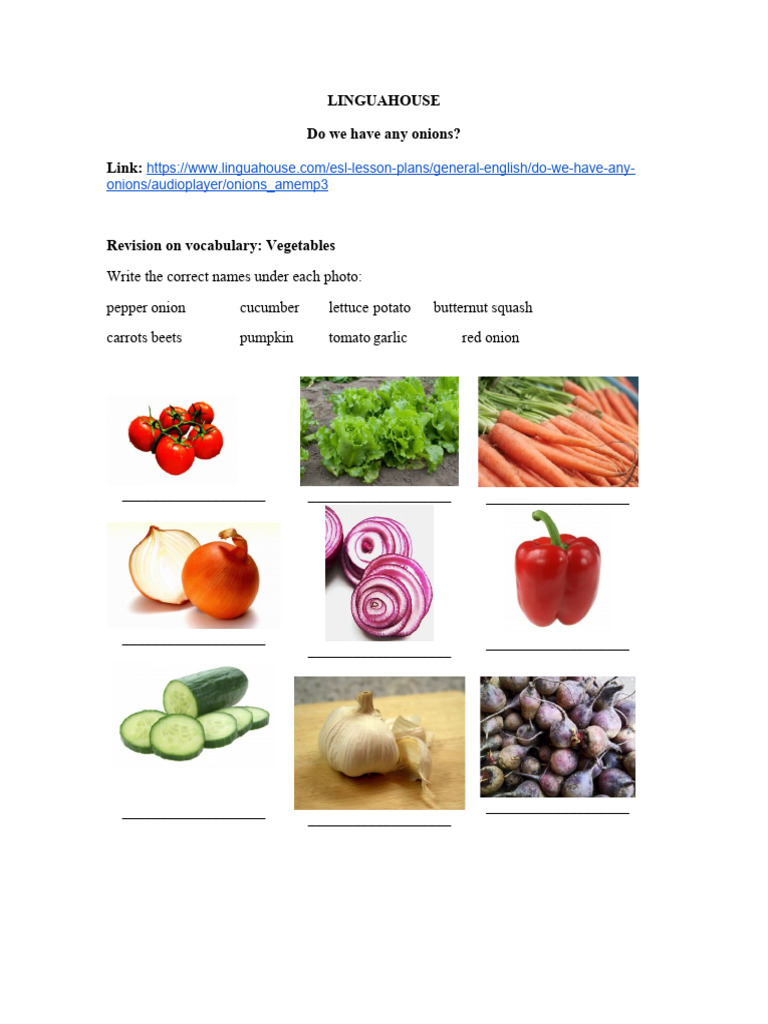 Do We Have Any Onions | PDF | Technology & Engineering