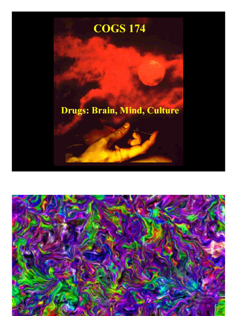 Hallucinogens | PDF | Hallucinogen | Psilocybin