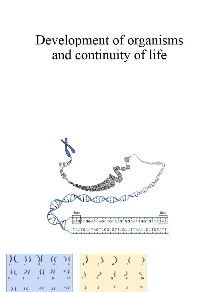Development of organisms and continuity of life | PDF
