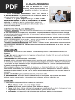 Elementos y Características de La Columna Periodística | PDF | Autor ...