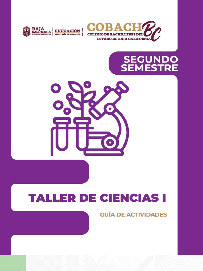 Taller de Ciencias I - 2024-1 | PDF | Importar | Mezcla
