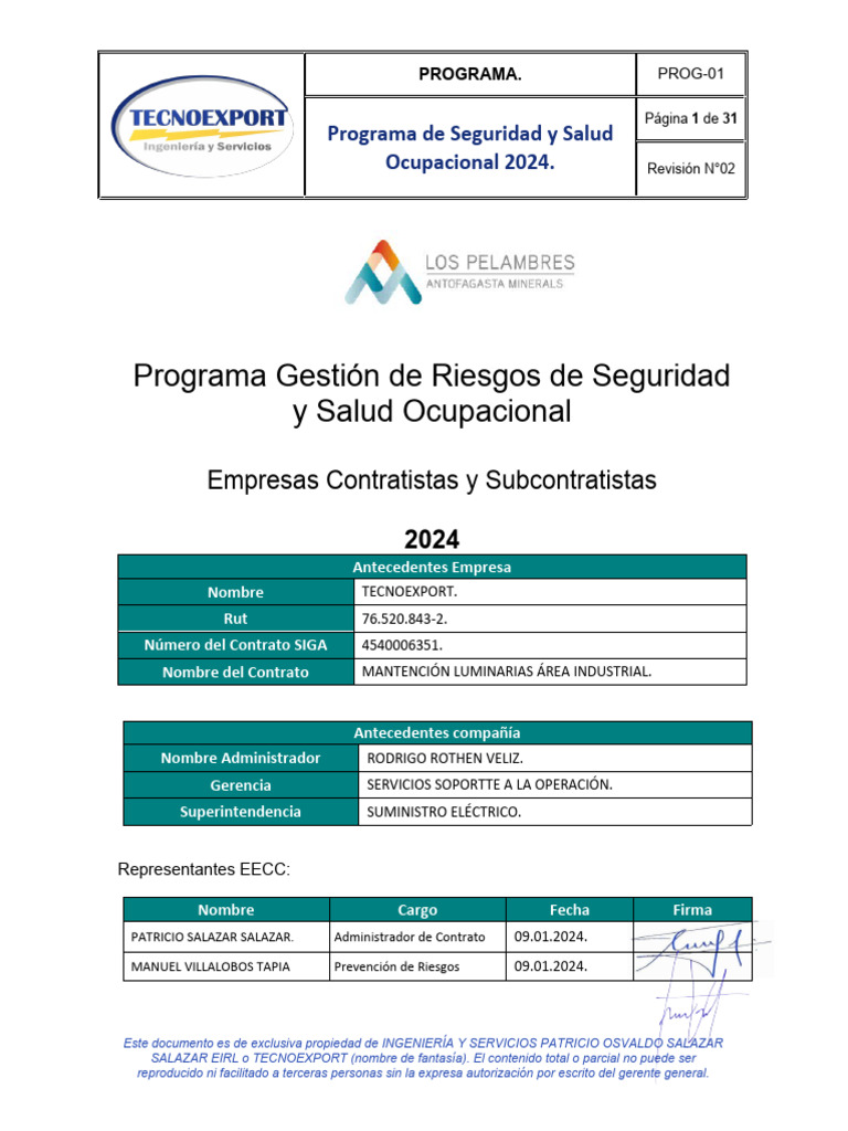 Programa De Seguridad Y Salud Ocupacional 2024 Pdf Seguridad Y