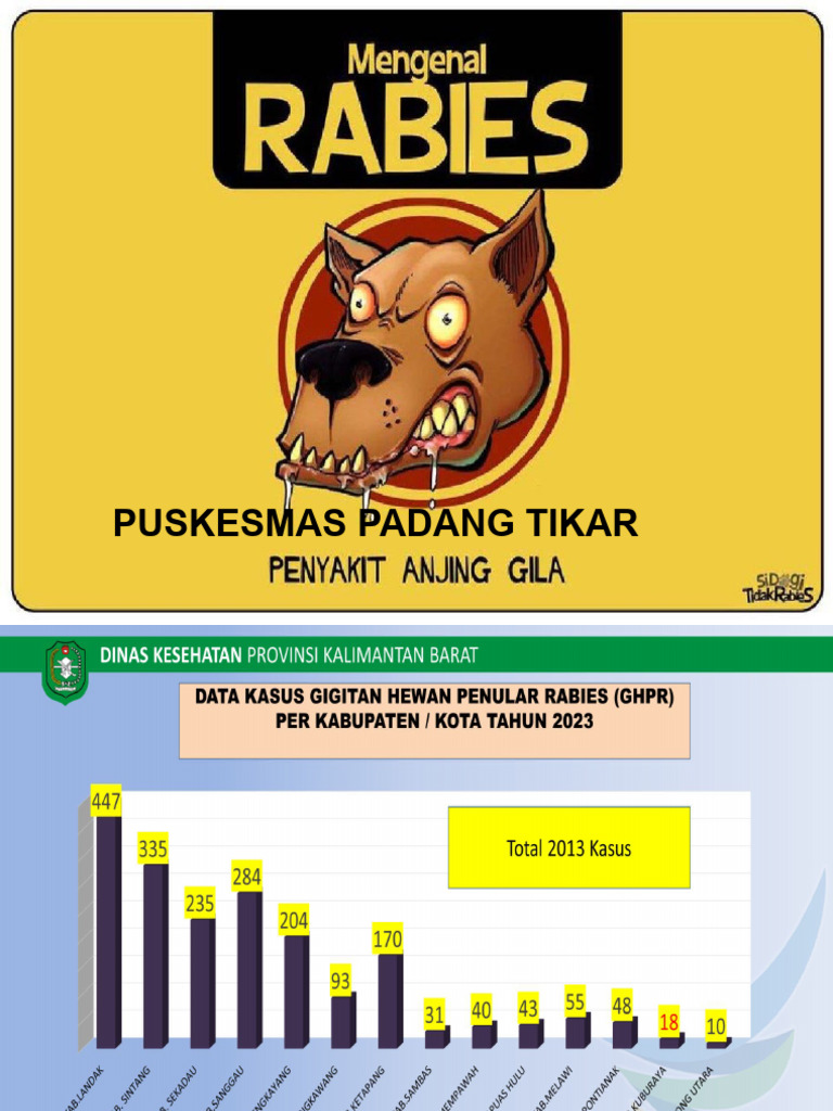 Rabies 2 | PDF