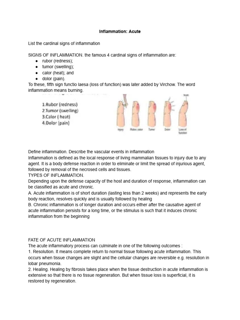Patho 3 | Download Free PDF | Wound Healing | Inflammation