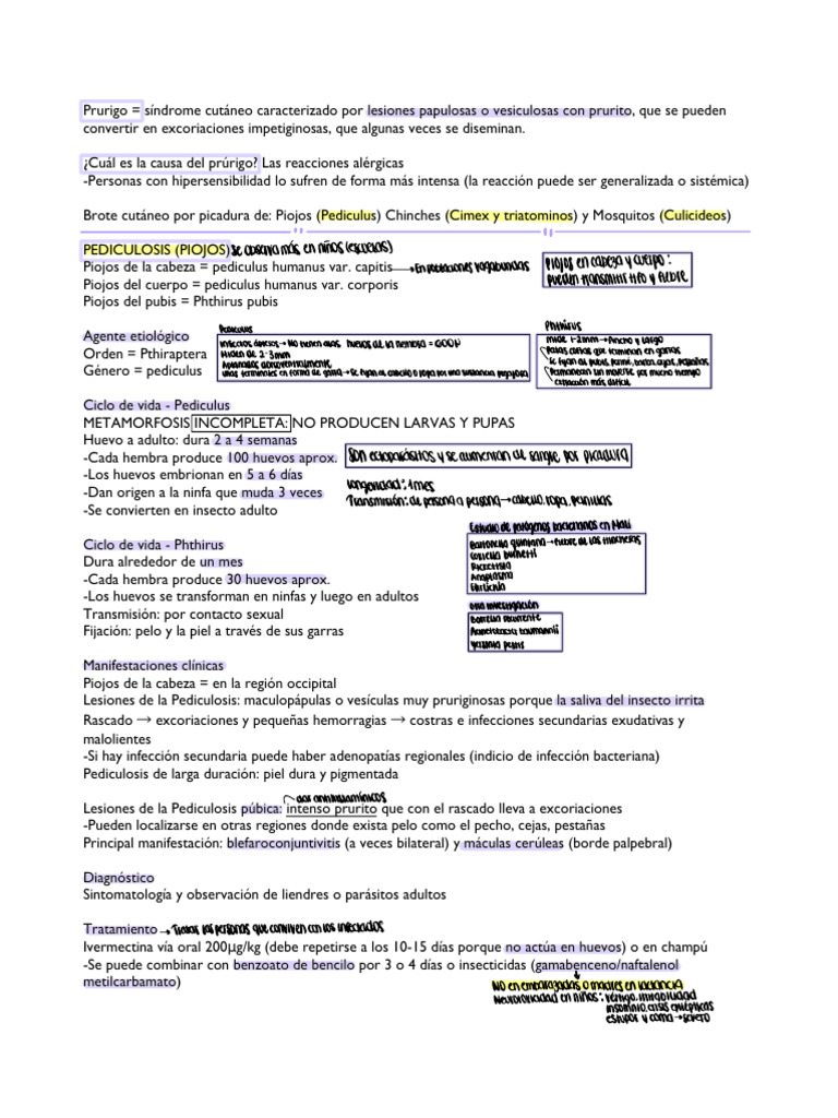 Prurigo y Ectoparásitos: Diagnóstico y Tratamiento | PDF | Especialidades Medicas