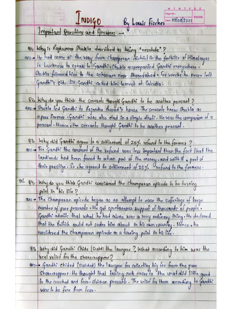 Indigo Class 12 | PDF