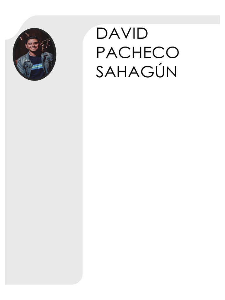Perfil Profesional de David Pacheco Sahagún | PDF | Business