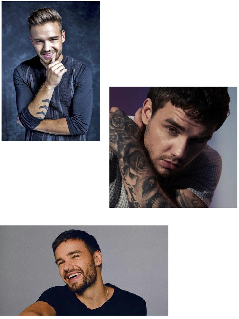 Liam Payne | PDF