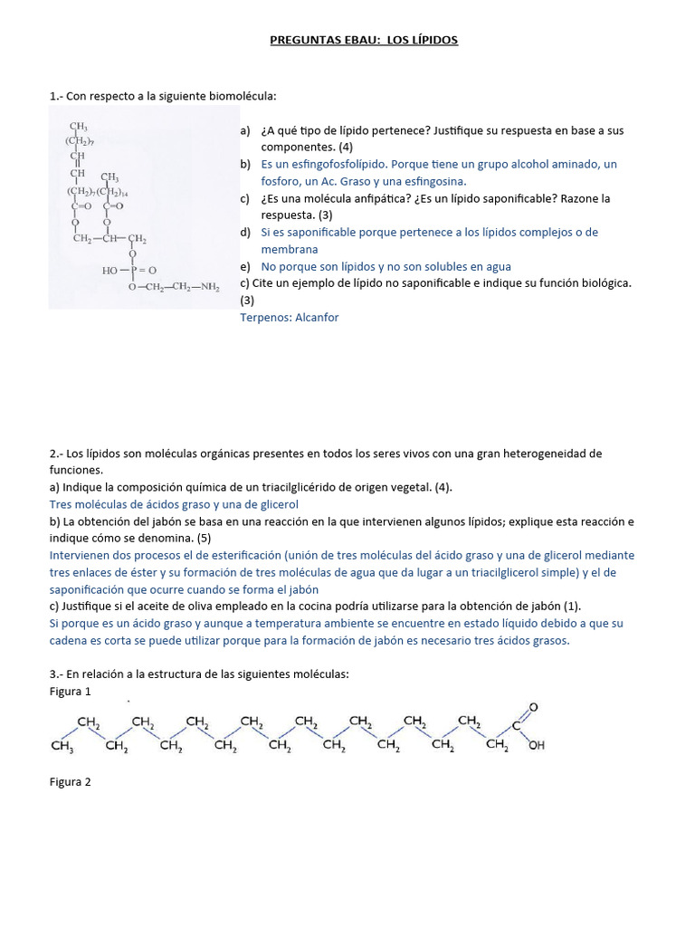 Preguntas sobre Lípidos y sus Funciones | PDF | Lípido | Ácido graso