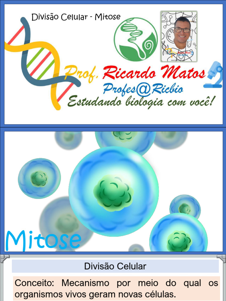 Aula Divisão Celular Mitose Profes Ricbio23 Pdf Mitose Cromossomo