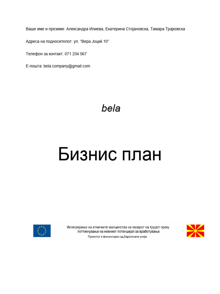 BIZNIS Biznis Plan | PDF