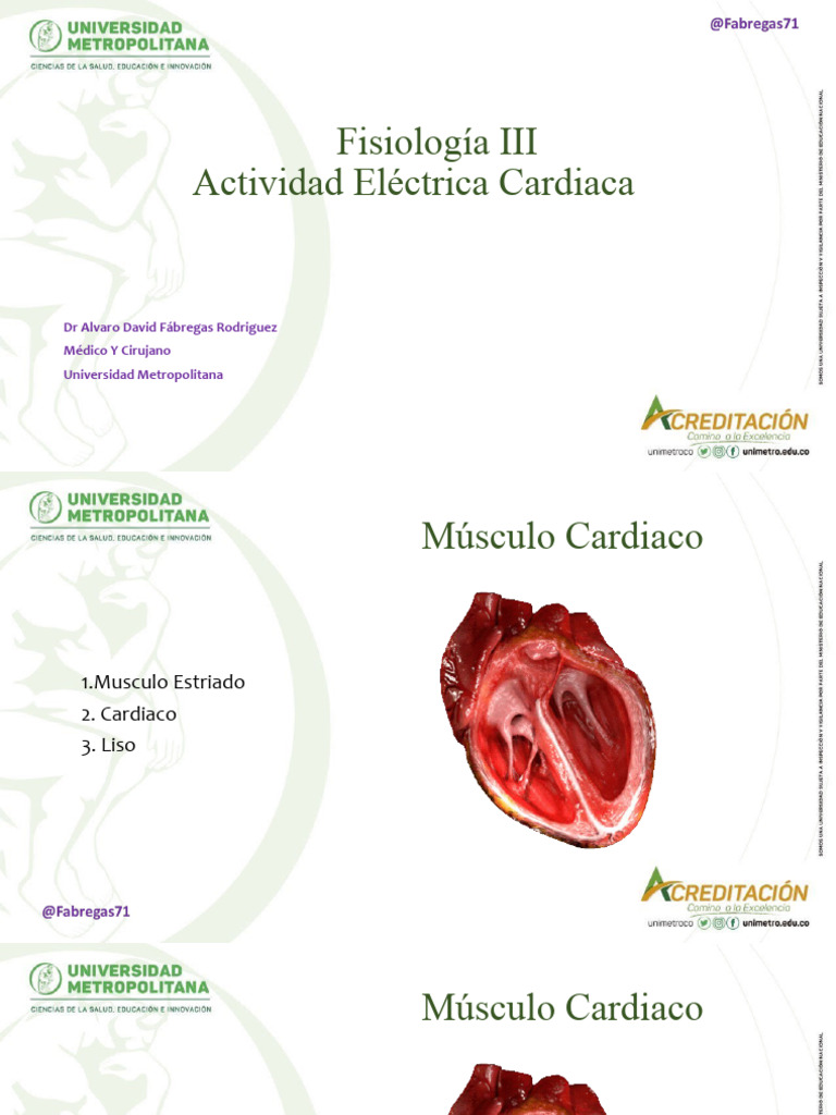 Fisio IV 1 Clase | PDF | Ventrículo (corazón) | Corazón