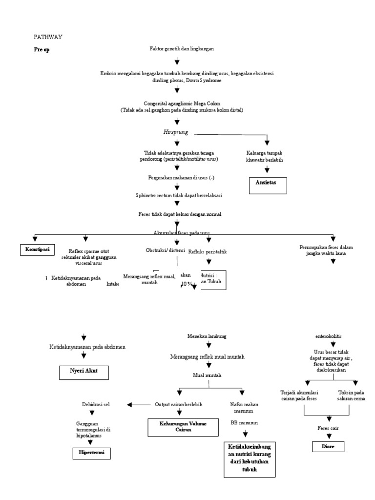 Pathway Hirsprung | PDF