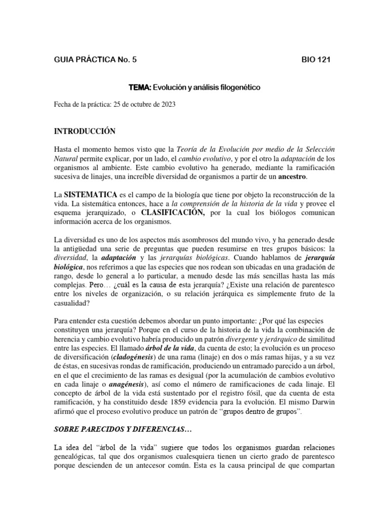 GUIA PRÁCTICA No 5. Evolución y Filogenia | PDF | Filogenética | Evolución