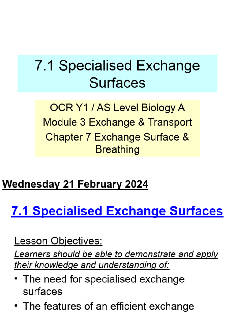 Importance of Specialized Exchange Surfaces | PDF | Diffusion | Breathing