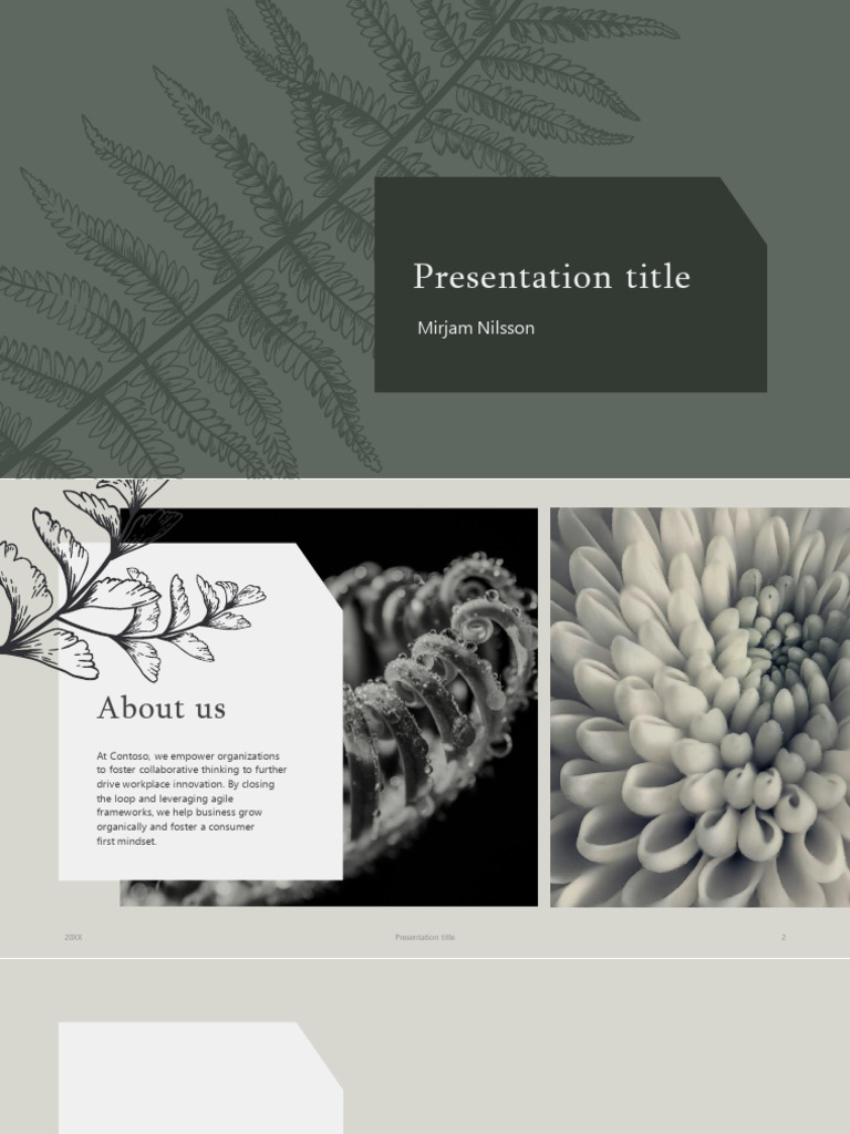 Presentation Title: Mirjam Nilsson | PDF | Economies | Business