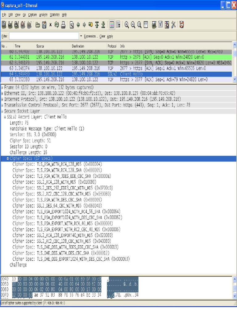 9.-Capturas Ethereal SSL | PDF