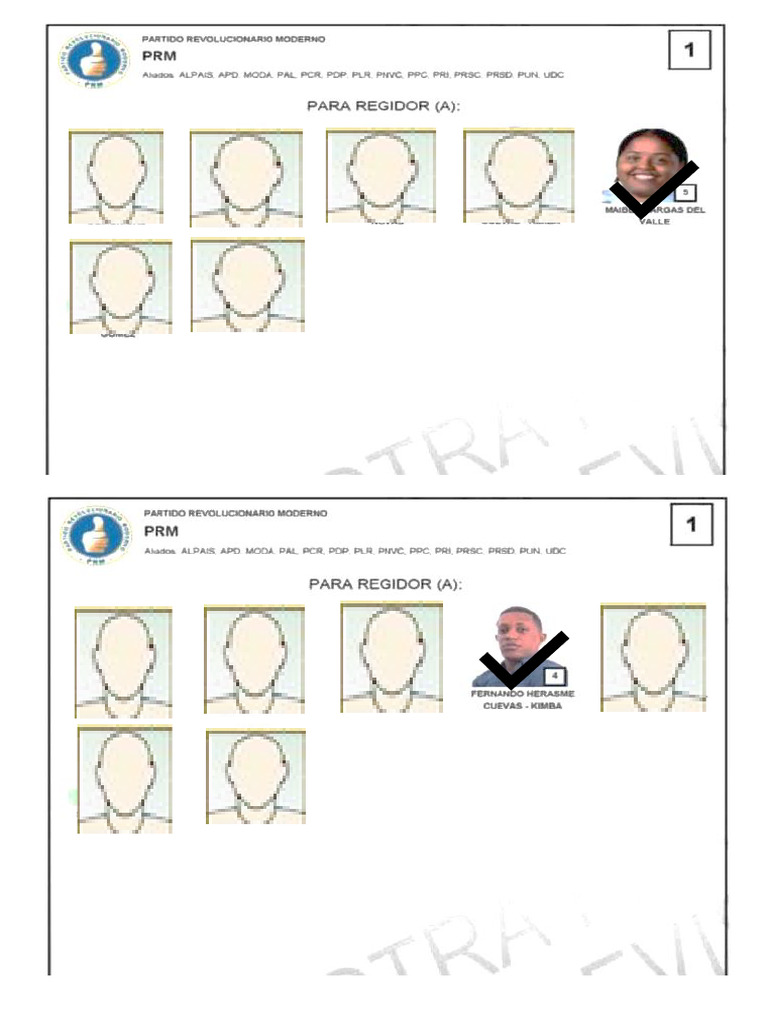 Boleta Educativa Regidores | PDF