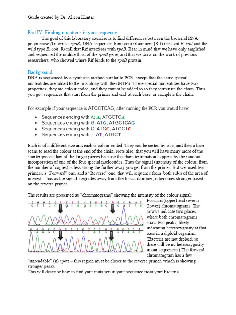 RpoB ApE Analysis Guide | PDF | Dna Sequencing | Macromolecules