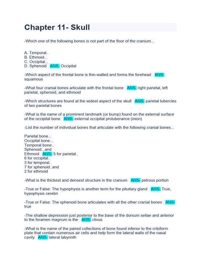 Chapter 11- Skull | PDF | Skull | Ear