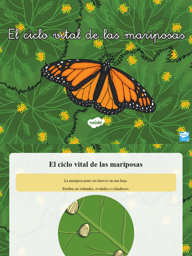 El Ciclo Vital de Las Mariposas | PDF