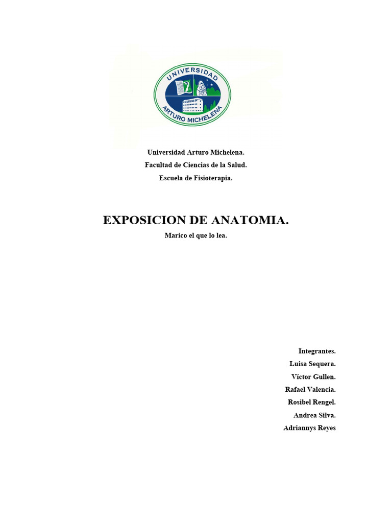 Anatomia Final Cartilagoytejidooseo | PDF | Hueso | Cartílago