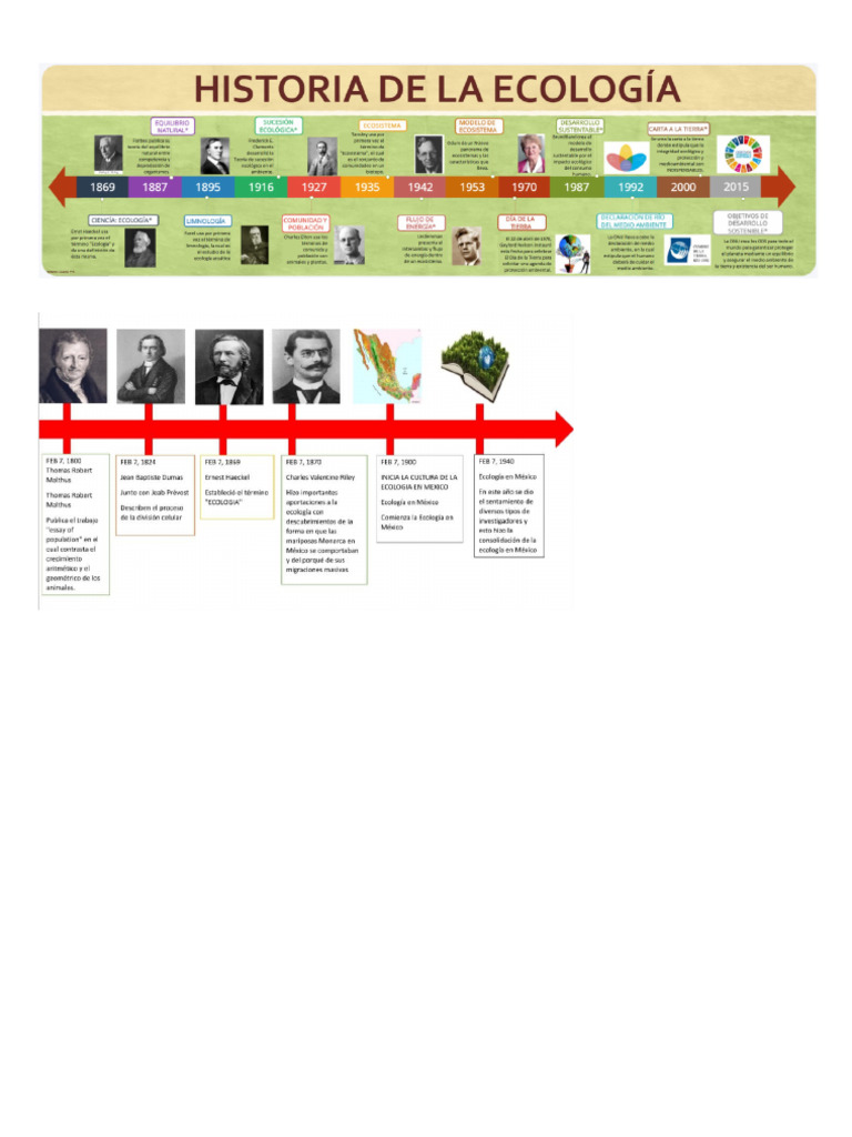 Línea Del Tiempo Ecología | PDF