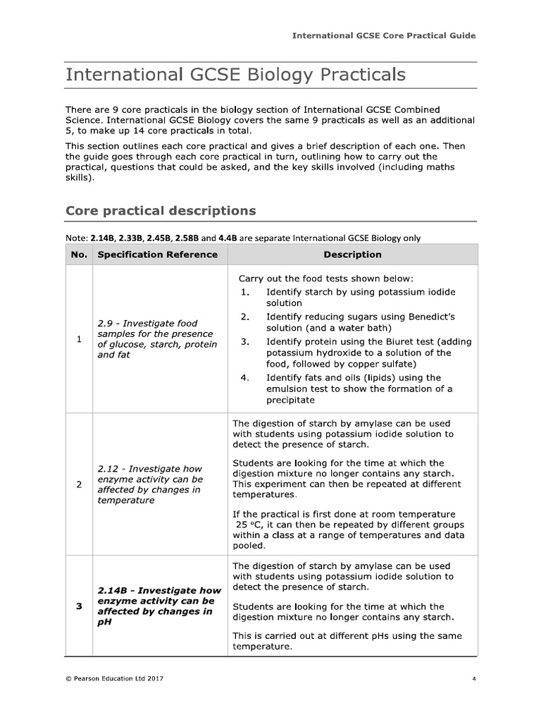 Practical Handbook 1 | PDF