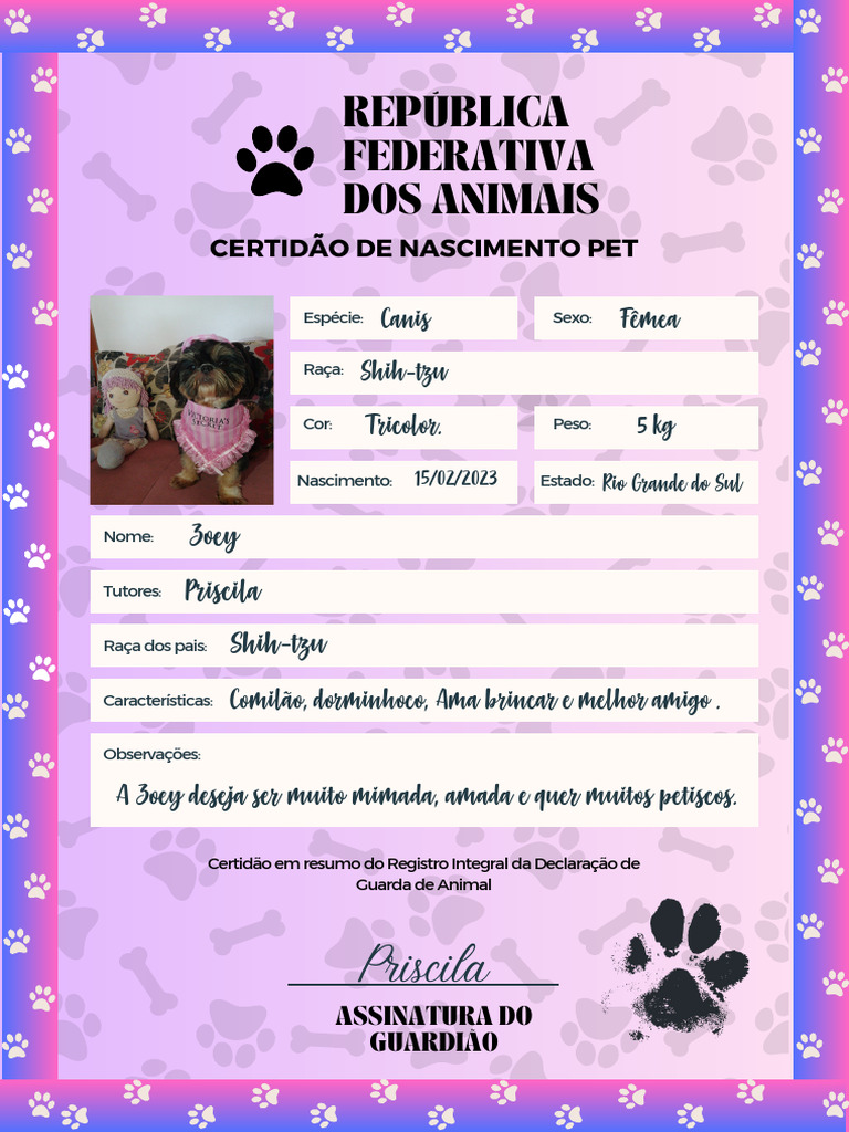 Certidão de Nascimento A4 Pet | PDF