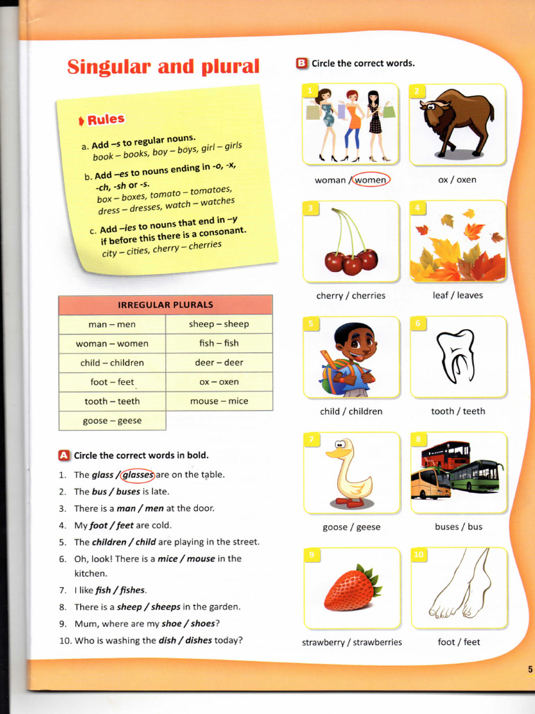 Grammar Book 3 p5 | PDF