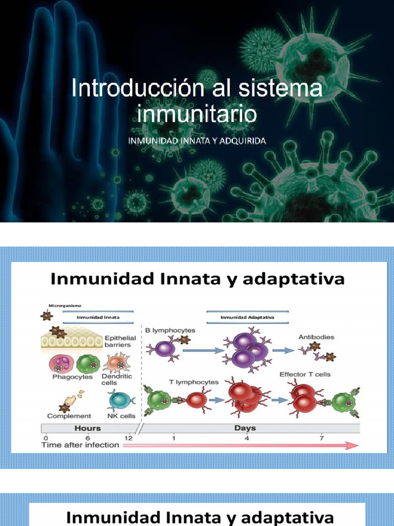 Inmunidad Innata y Adquirida | PDF