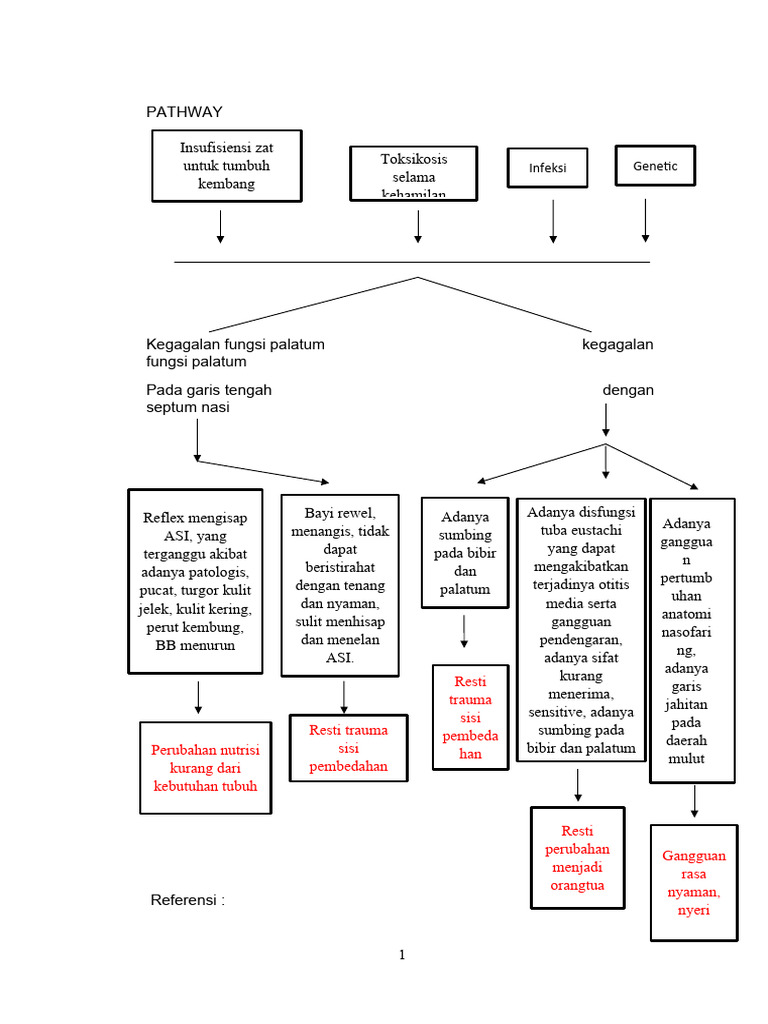 PATHWAY Anak Palato | PDF