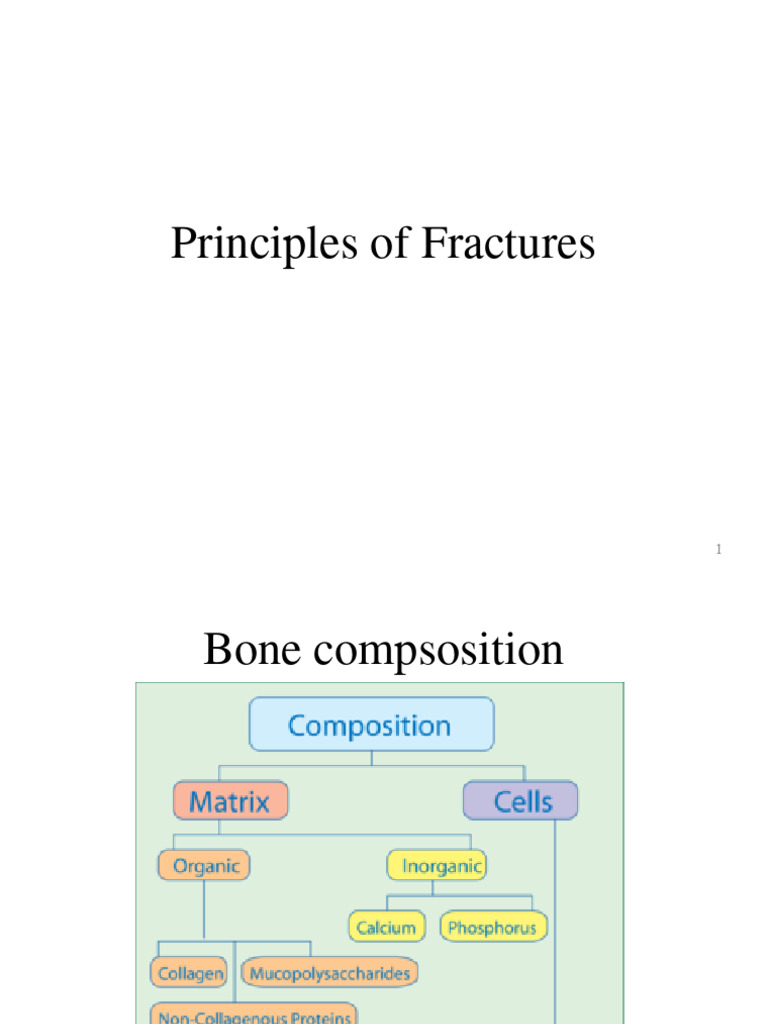Understanding Fractures: Types and Causes | PDF | Bone | Medical ...