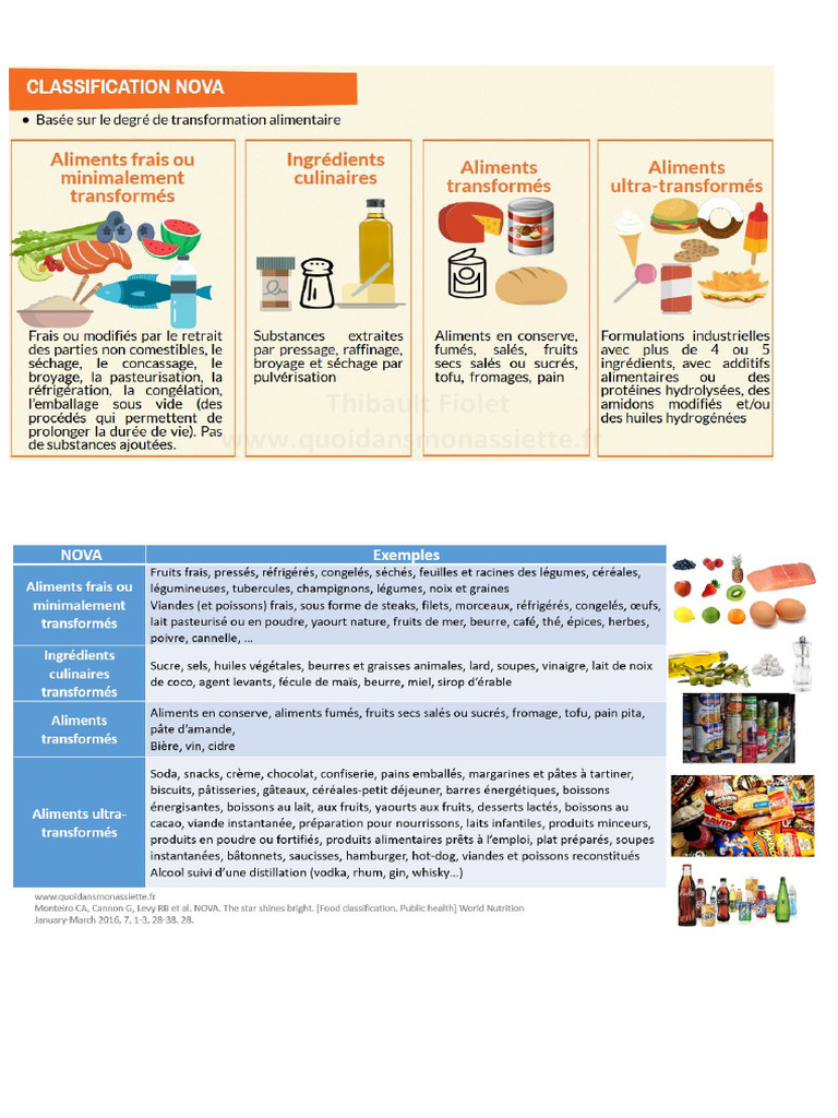 Classification NOVA 2 | PDF