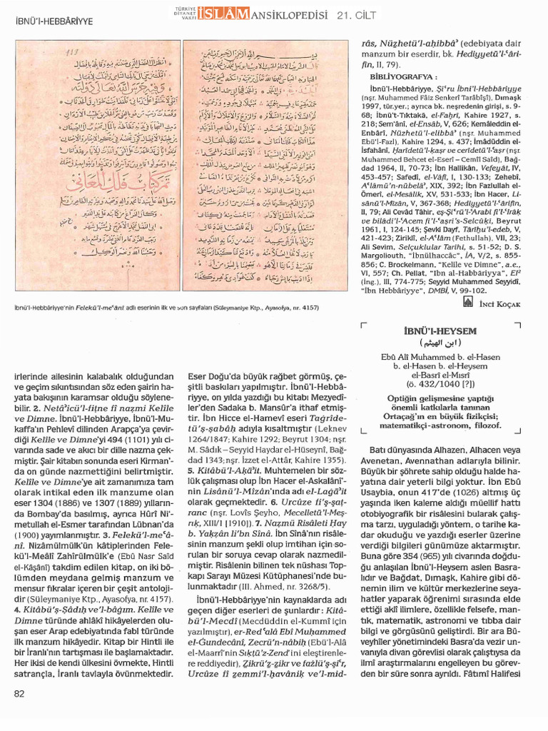 İbn Heysem TDV Madde | PDF