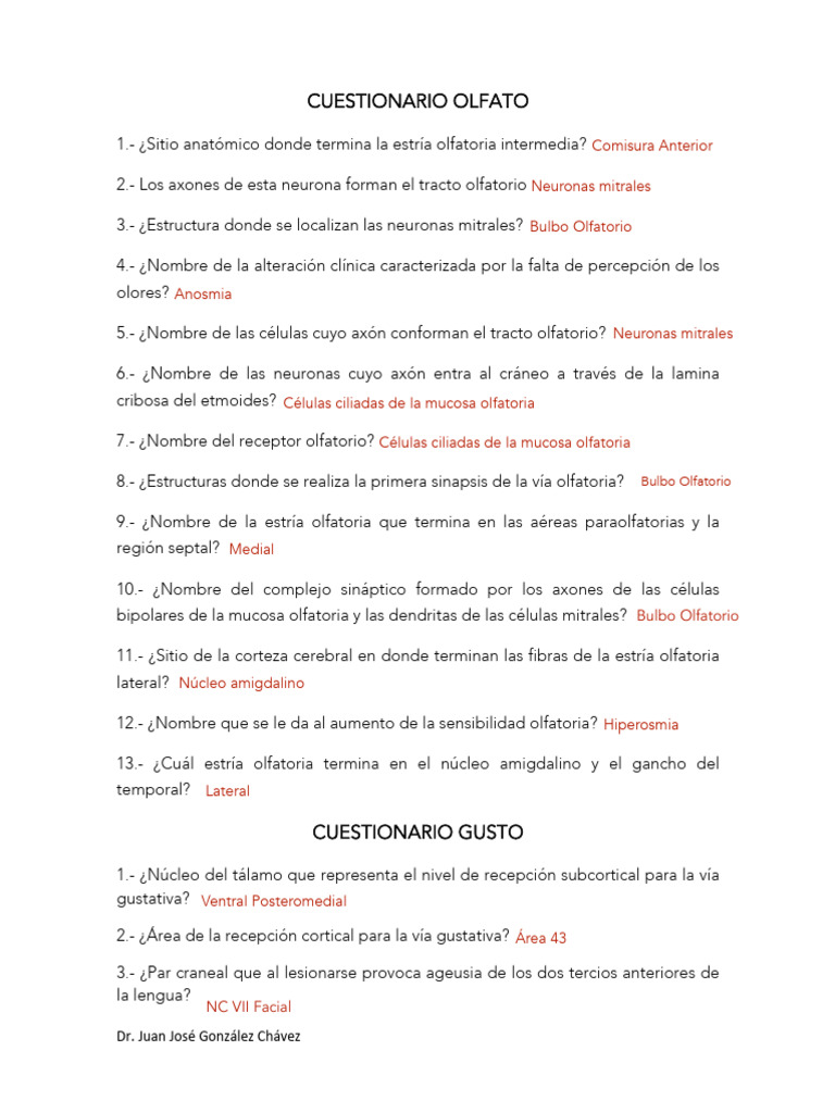 Cuest Olf y Gust | PDF | Anatomía humana | Sistema límbico