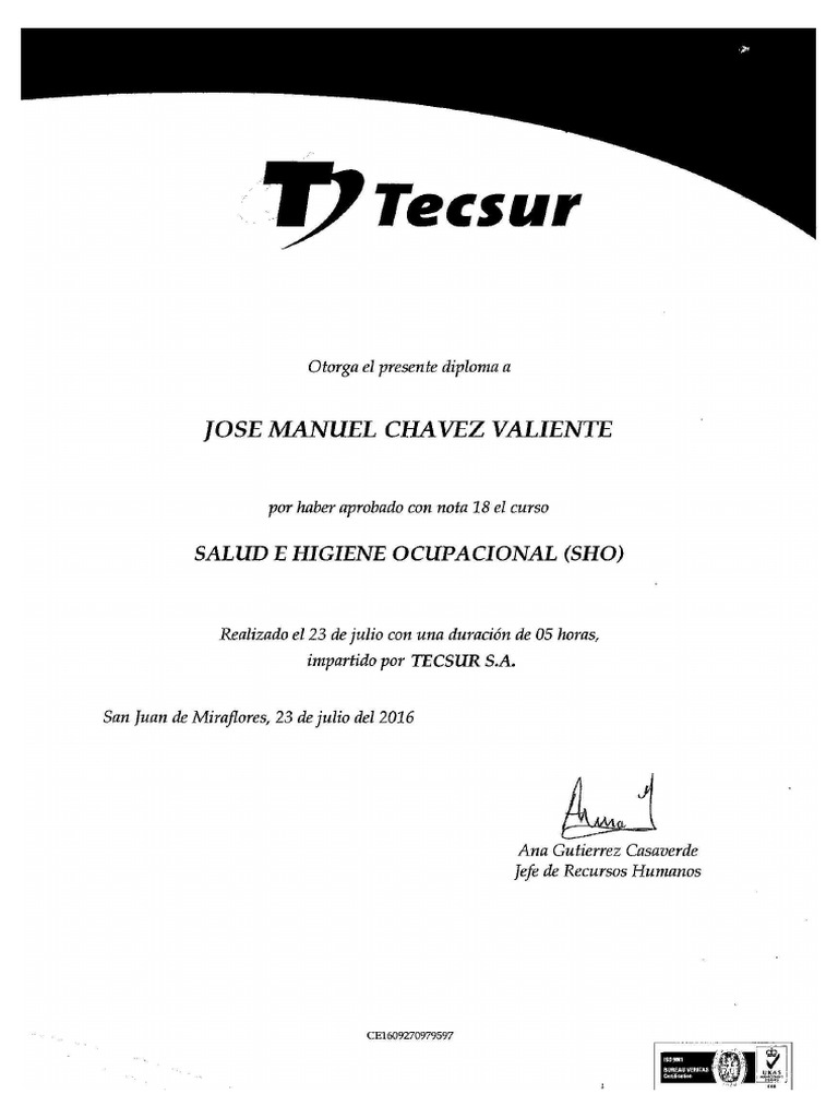 12.salud e Higiene Ocupacional (Tecsur) | PDF