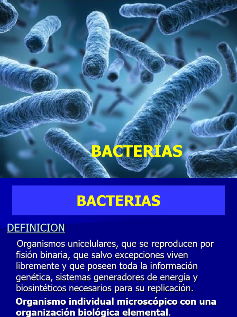 Características y Clasificación de Bacterias | PDF | Las bacterias ...