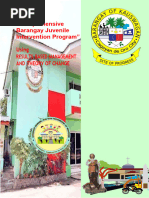 Comprehensive Barangay Juvenile Intervention Plan Checklist | PDF