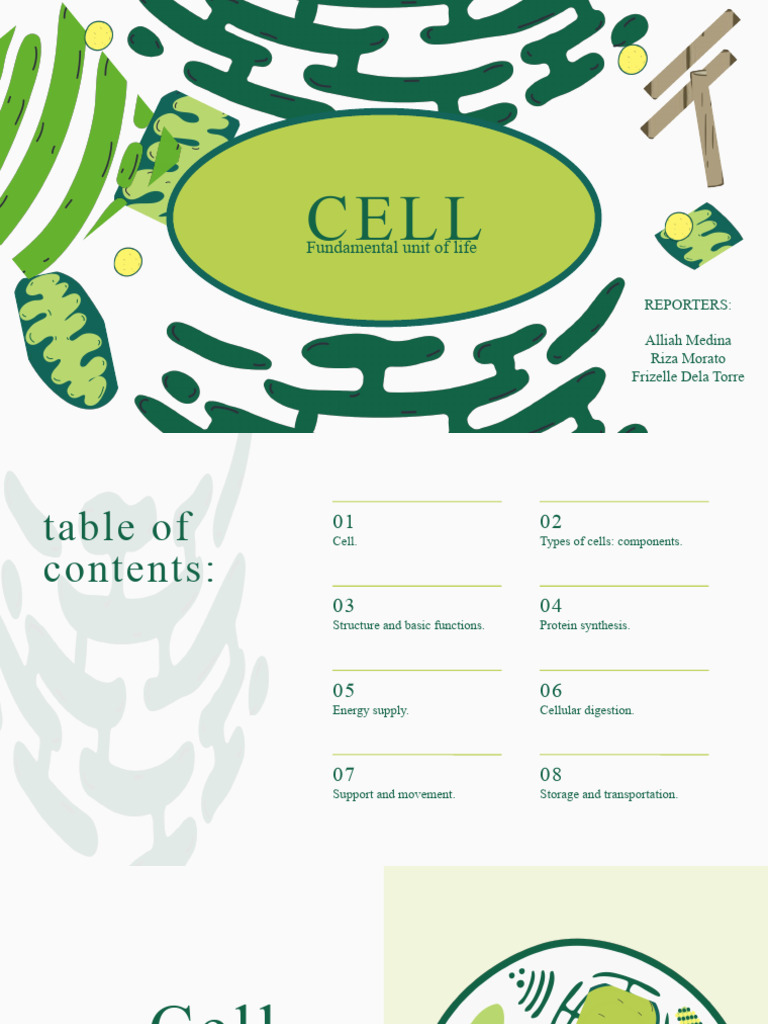 Cell Structure and Functions Guide | PDF | Mitosis | Cell (Biology)