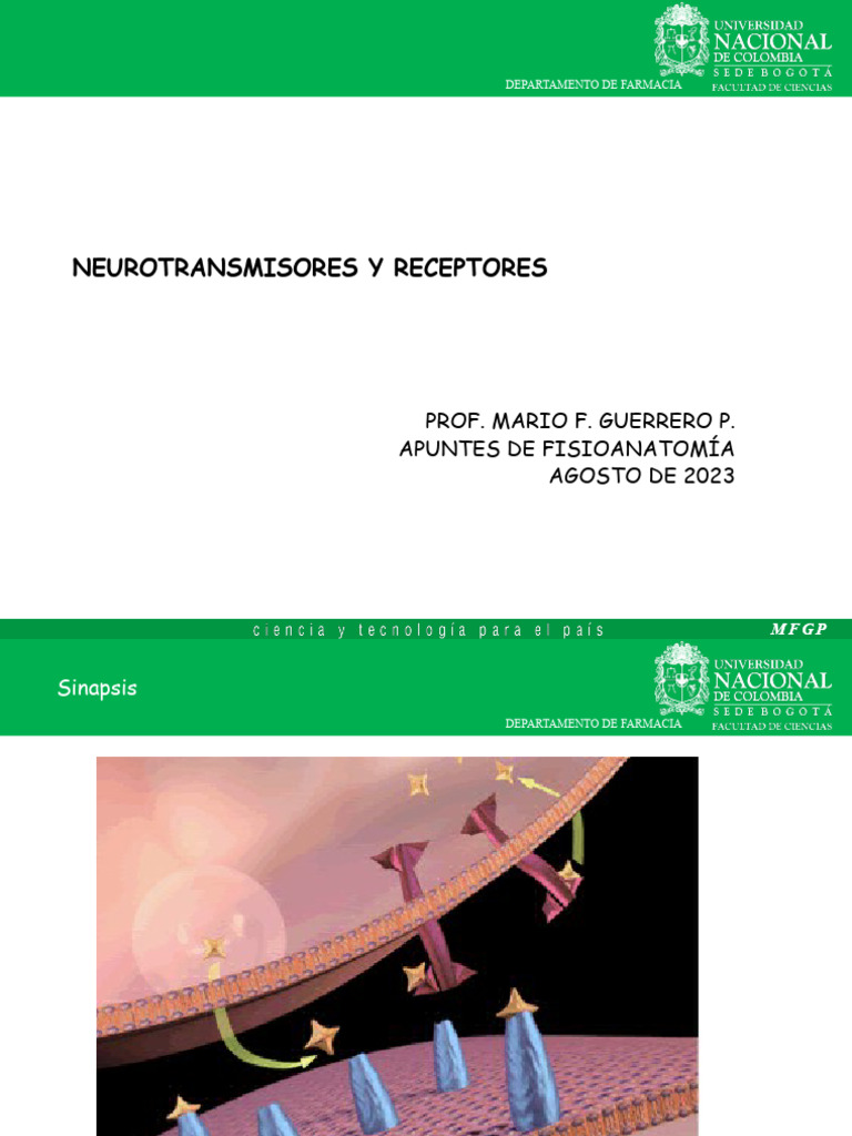 Neurotransmisores y Receptores | PDF | Receptor (Bioquímica) | Señal ...
